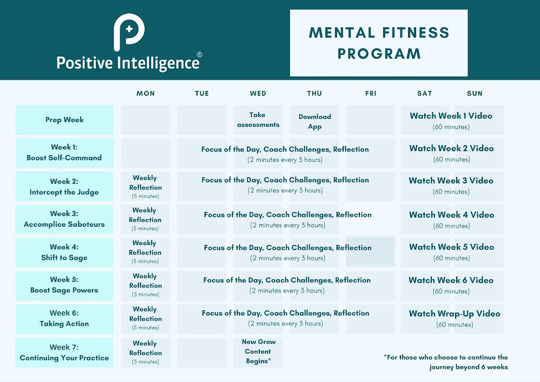 Positive Intelligence - Invincible Optimism